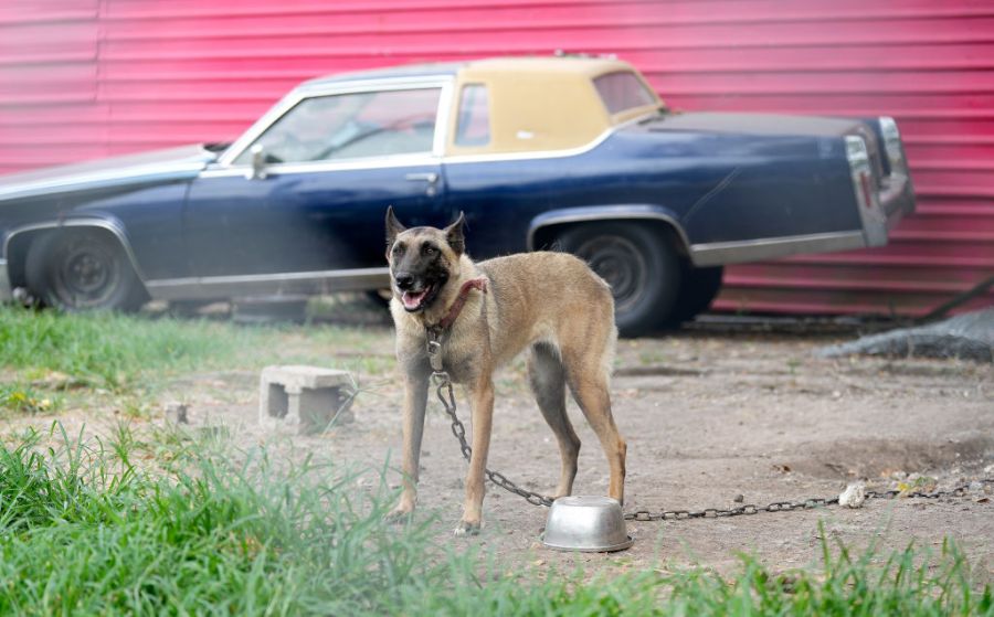 The 18 Poorest Neighborhoods in Texas (See How Many Are In Houston)